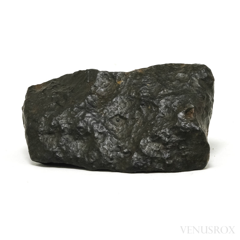 Chondrite Meteorite (NWA) Fragment | Venusrox