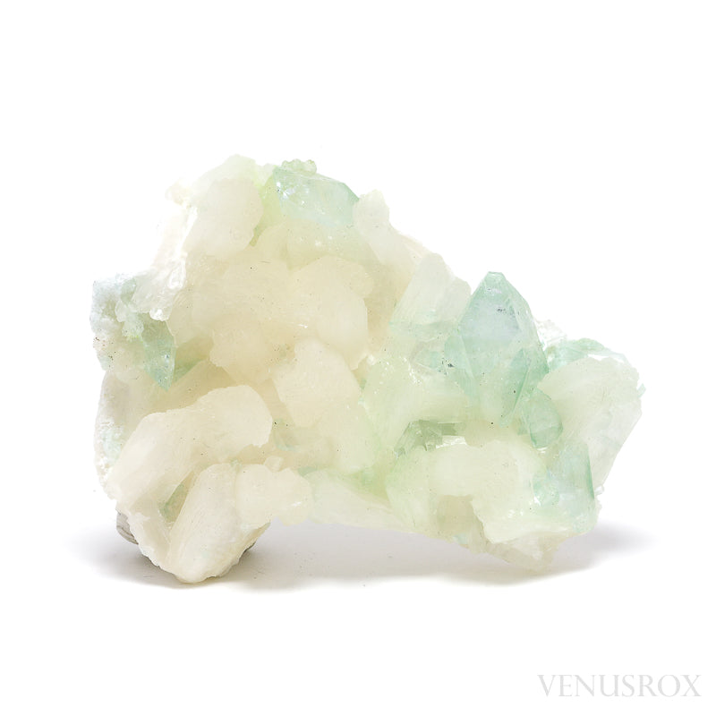 All New | Venusrox – Page 5