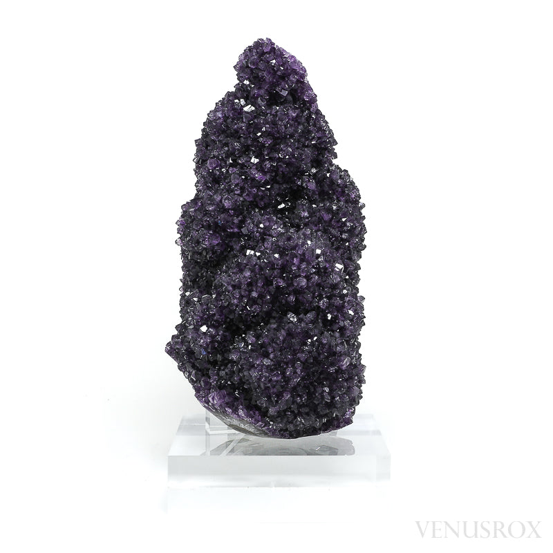 New Virtual Showroom – Venusrox